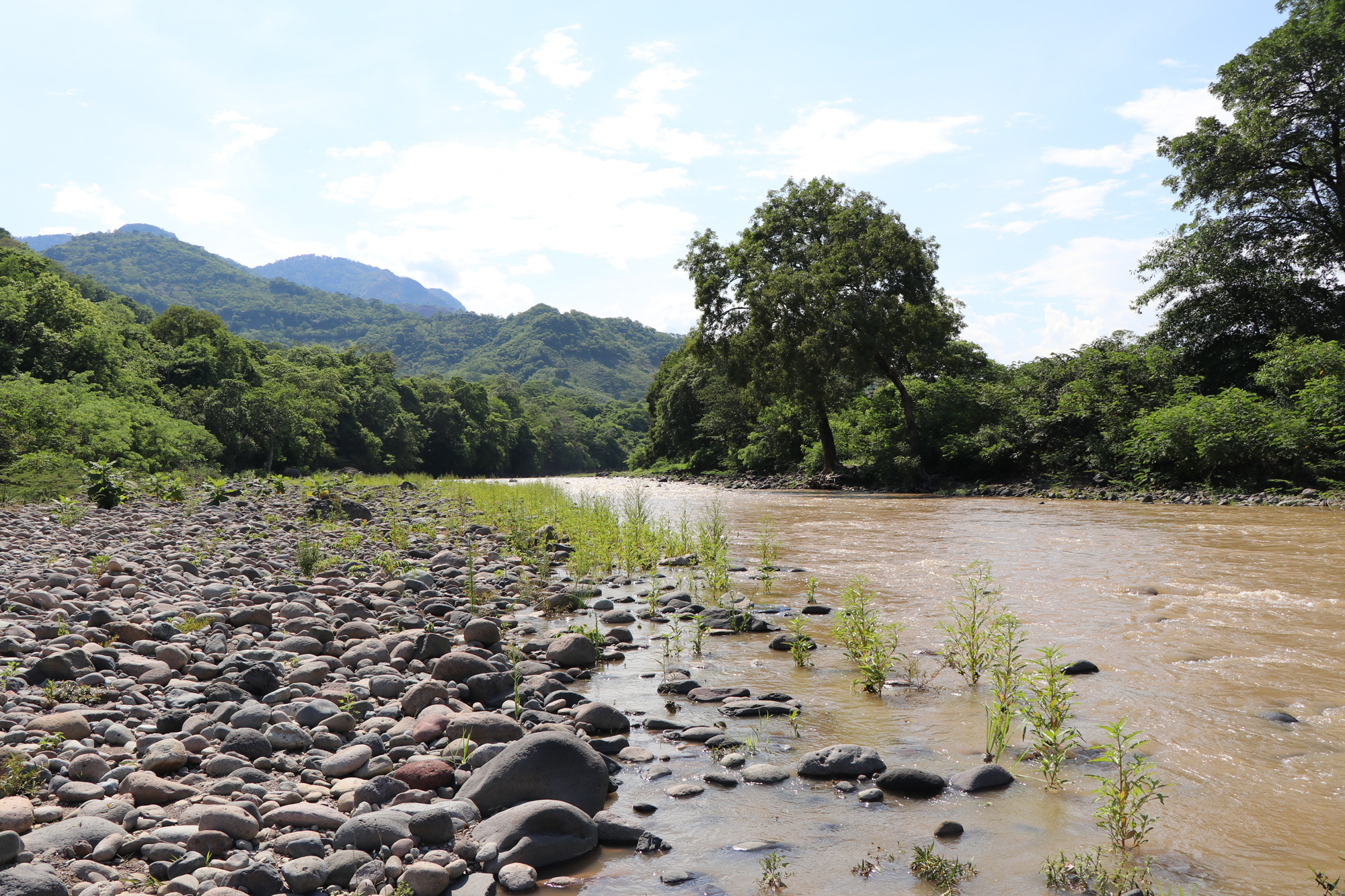 Home Page - Memorial Sumpul